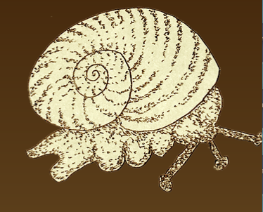 Degrowth | Ben's Blog